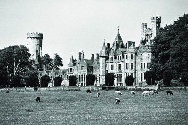 Humewood Castle czyli zamek-widmo – Dublinia pisze